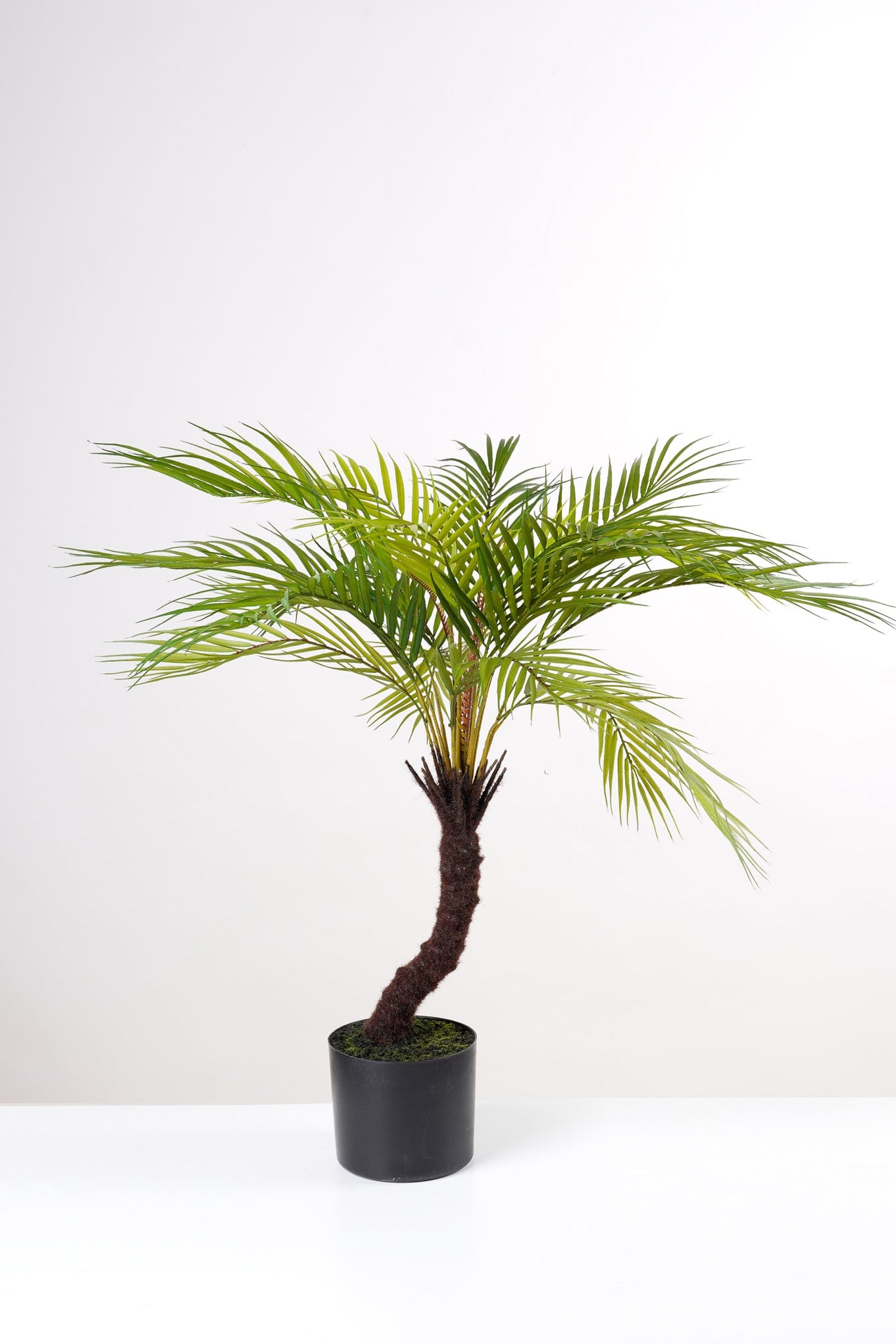 Artificial Flower & Plants– Casa Febus — Home • Design