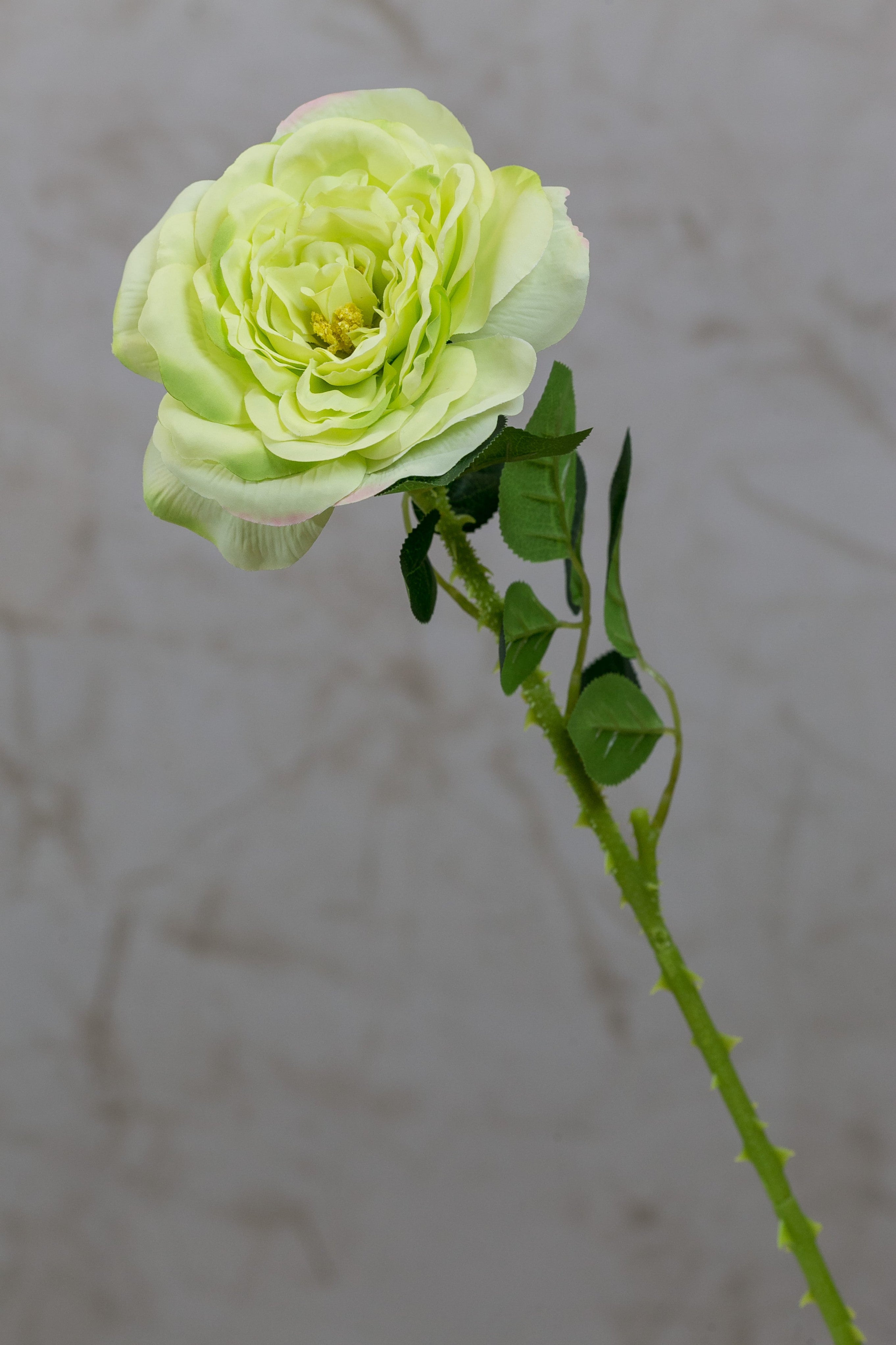 18" Garden Rose Stem Green– Casa Febus — Home • Design